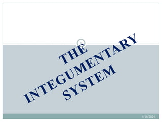 Anatomy of integumentary systems for.ppt
