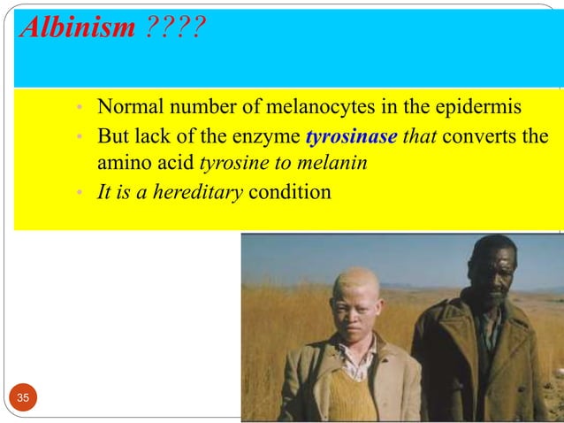 Anatomy of integumentary systems for.ppt