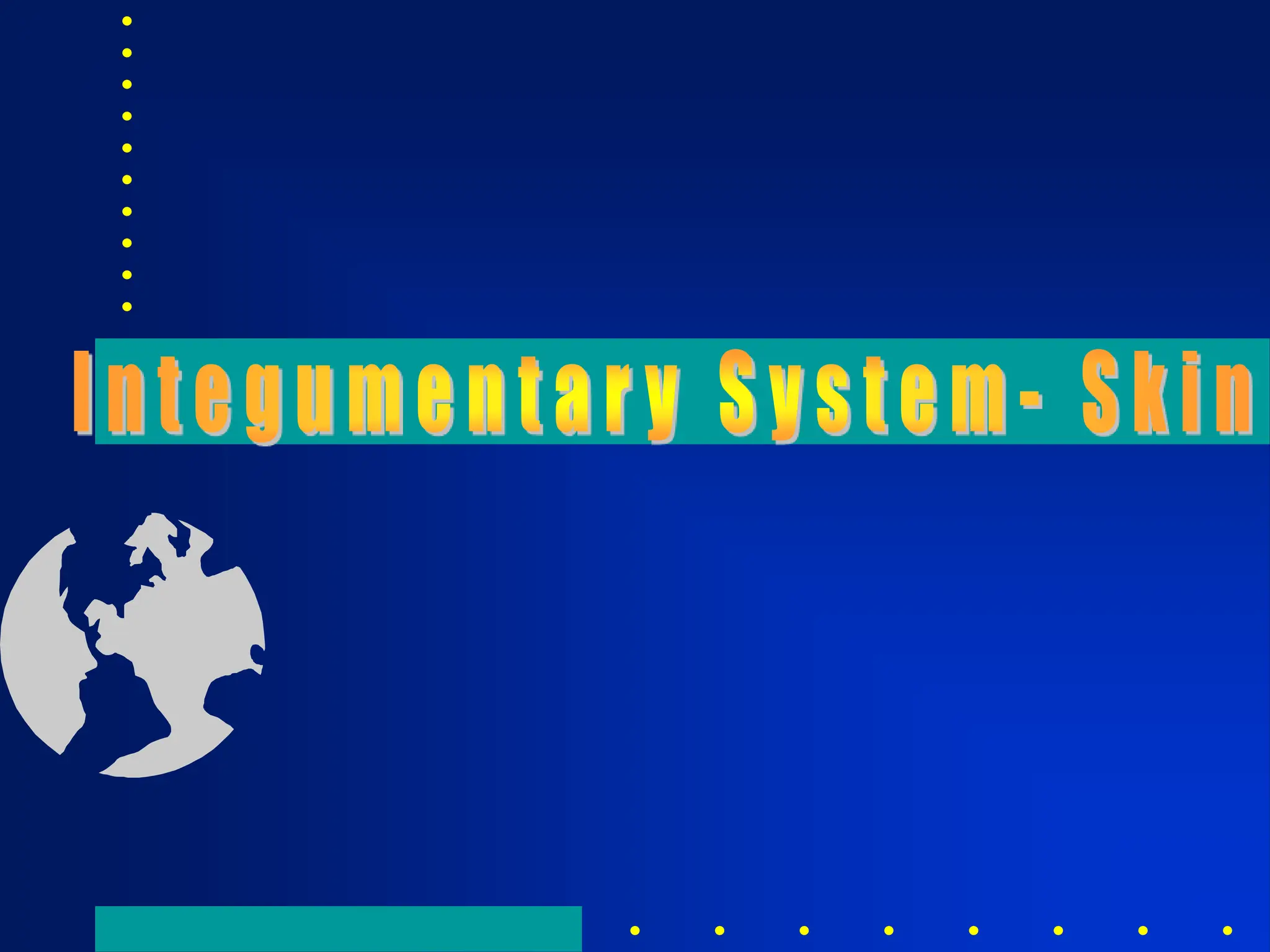 Integumentary System anatomy and physiology | PPT