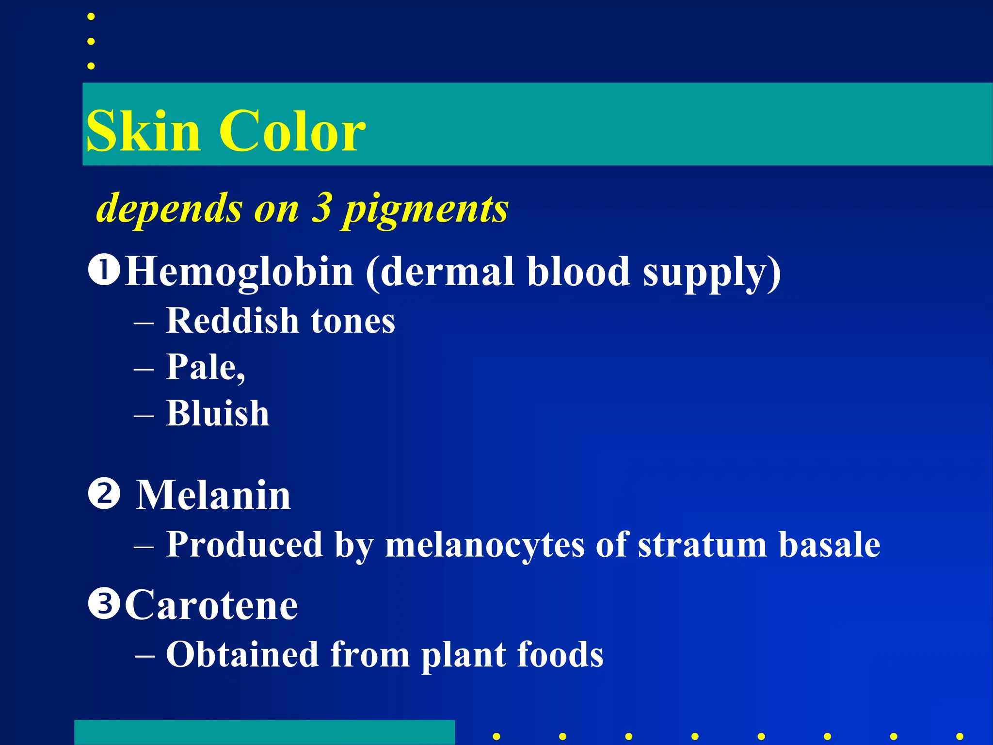 Integumentary System anatomy and physiology | PPT