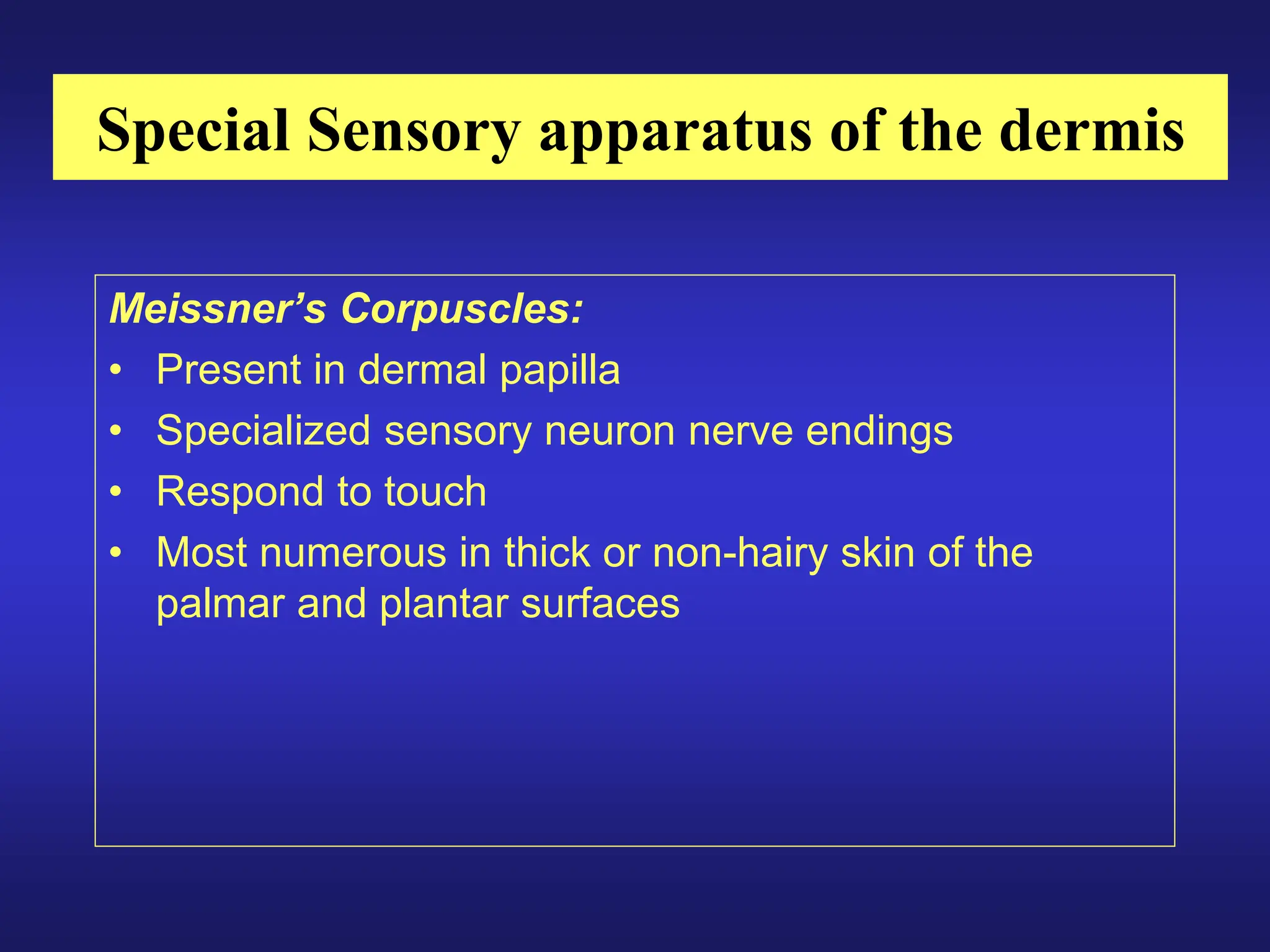 Integumentary System anatomy and physiology | PPT