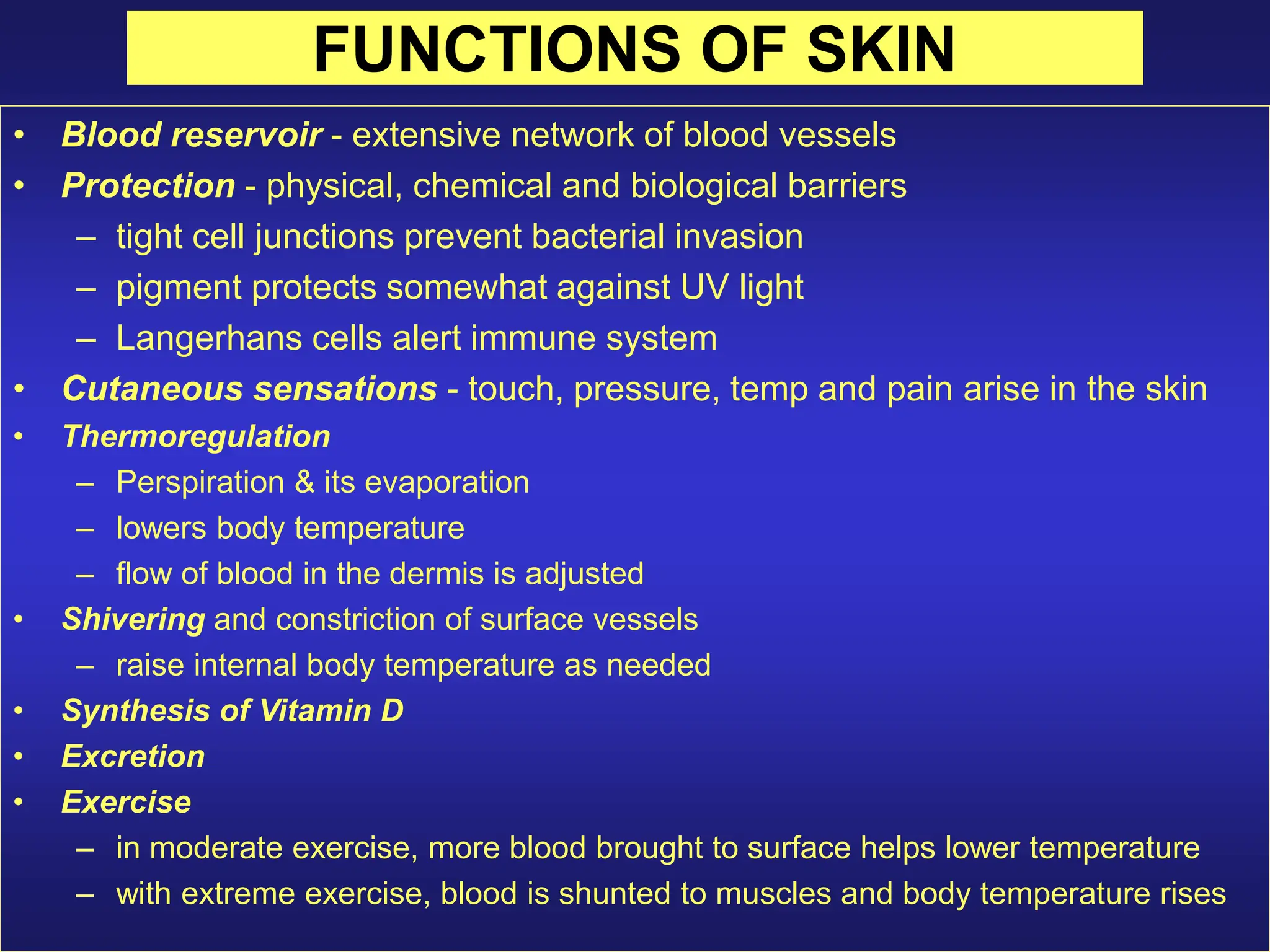 Integumentary System anatomy and physiology | PPT