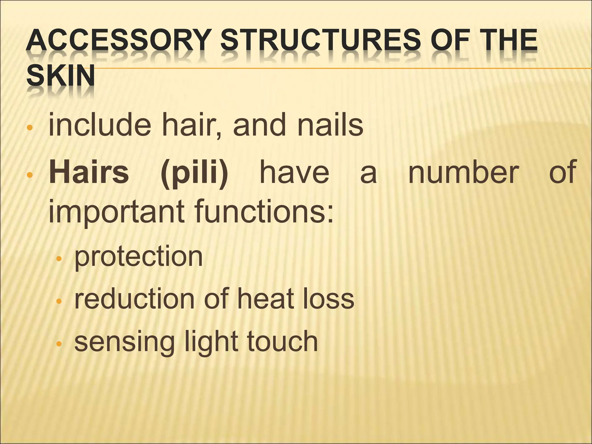 Integumentary System.pdf with physiology and anatomy | PPT