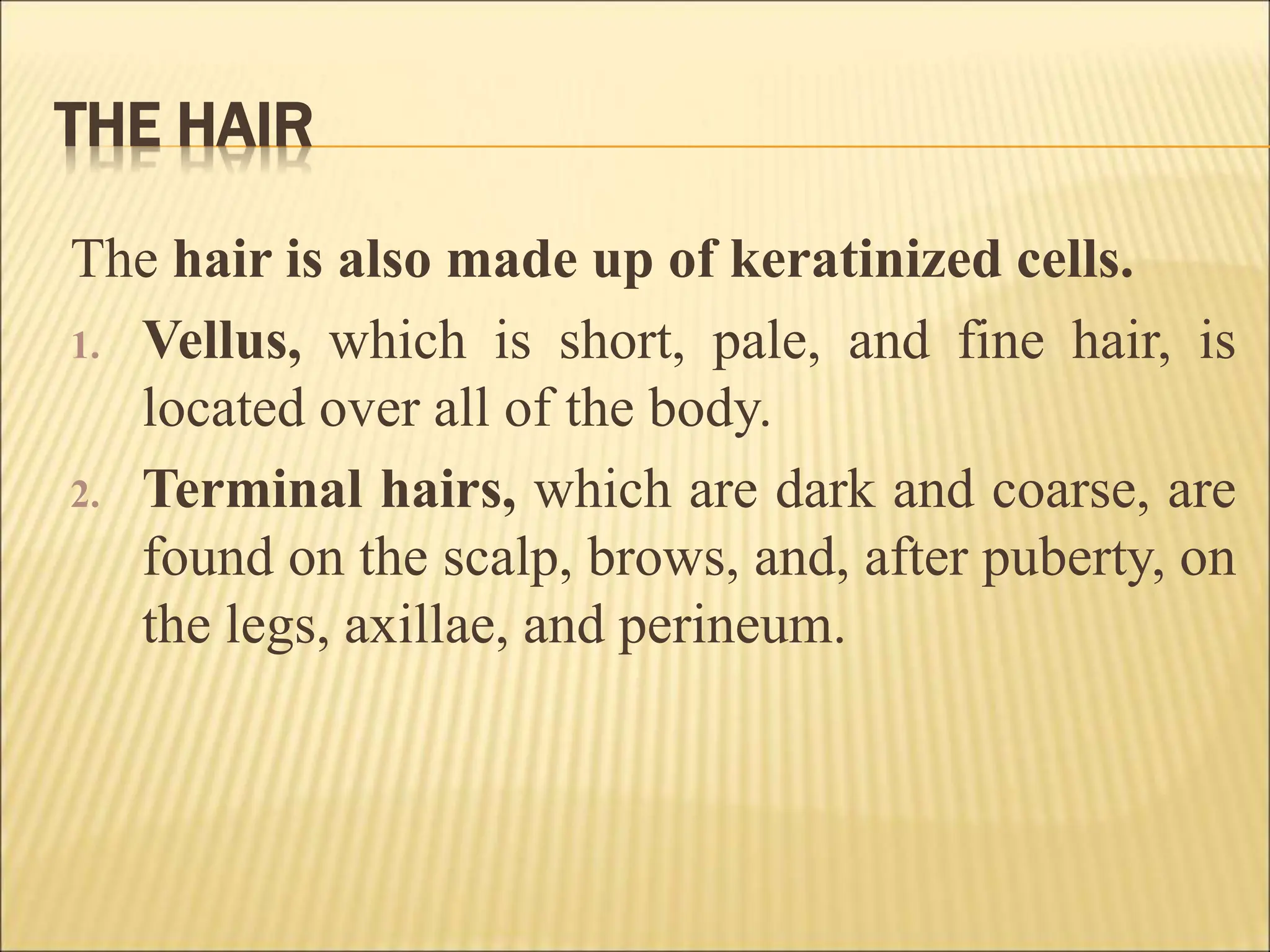 Integumentary System.pdf with physiology and anatomy | PPT