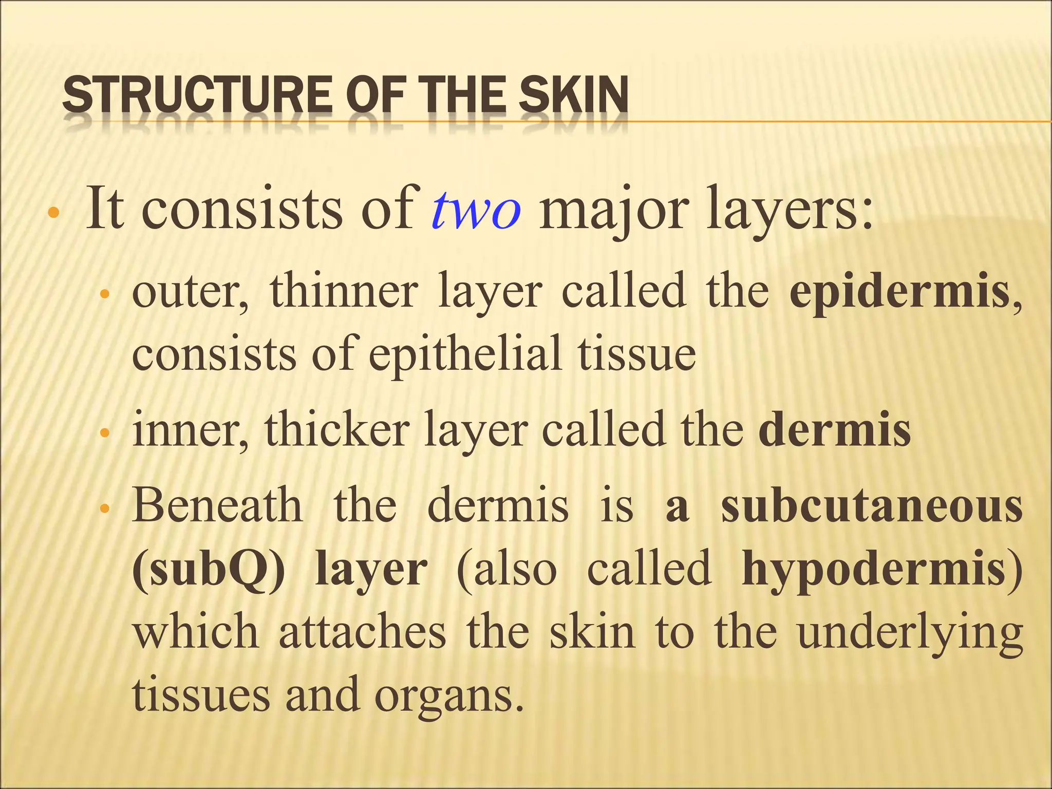 Integumentary System.pdf with physiology and anatomy | PPT