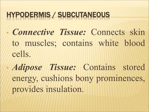 Integumentary System.pdf with physiology and anatomy | PPT
