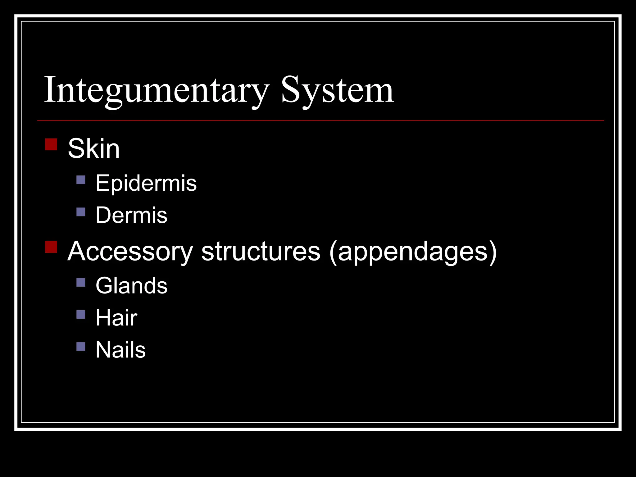integumentary system.pptx. . | PPTX