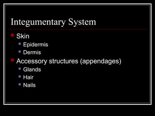 integumentary system.pptx. . | PPTX