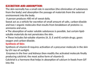 B Pharm First Year UNIT-II ,Integumentary system.pptx