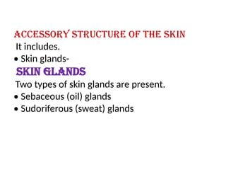 B Pharm First Year UNIT-II ,Integumentary system.pptx