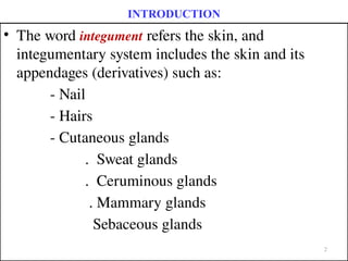Integumentary system for laboratory technology department | PPT
