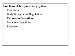 Integumentary system for laboratory technology department | PPT