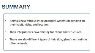 INTEGUMENTARY SYSTEM Powerpoint presentations from DOST STARBOOKS | PPTX