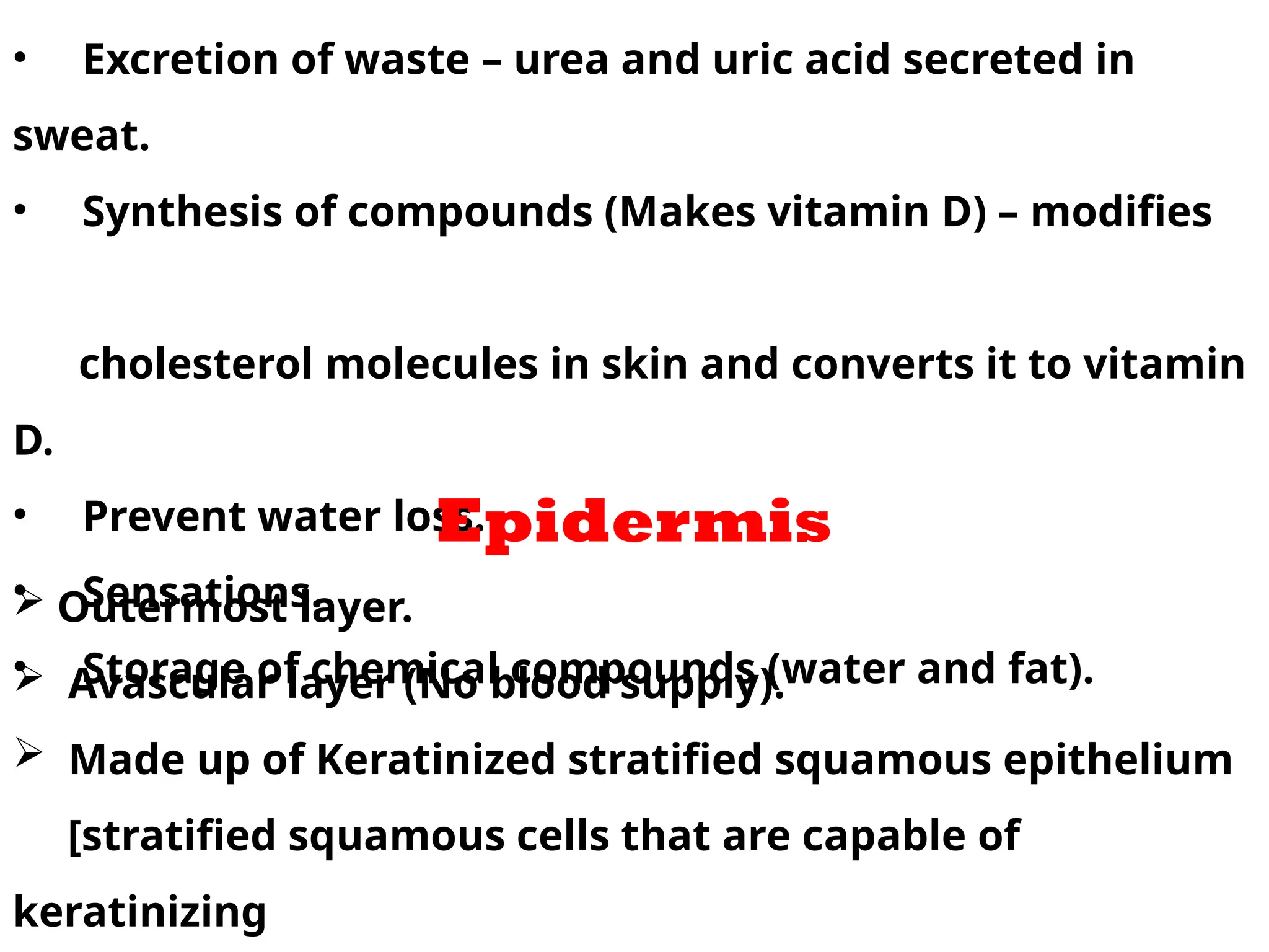 Integumentary System: Structure, Functions, and Importance | PPTX