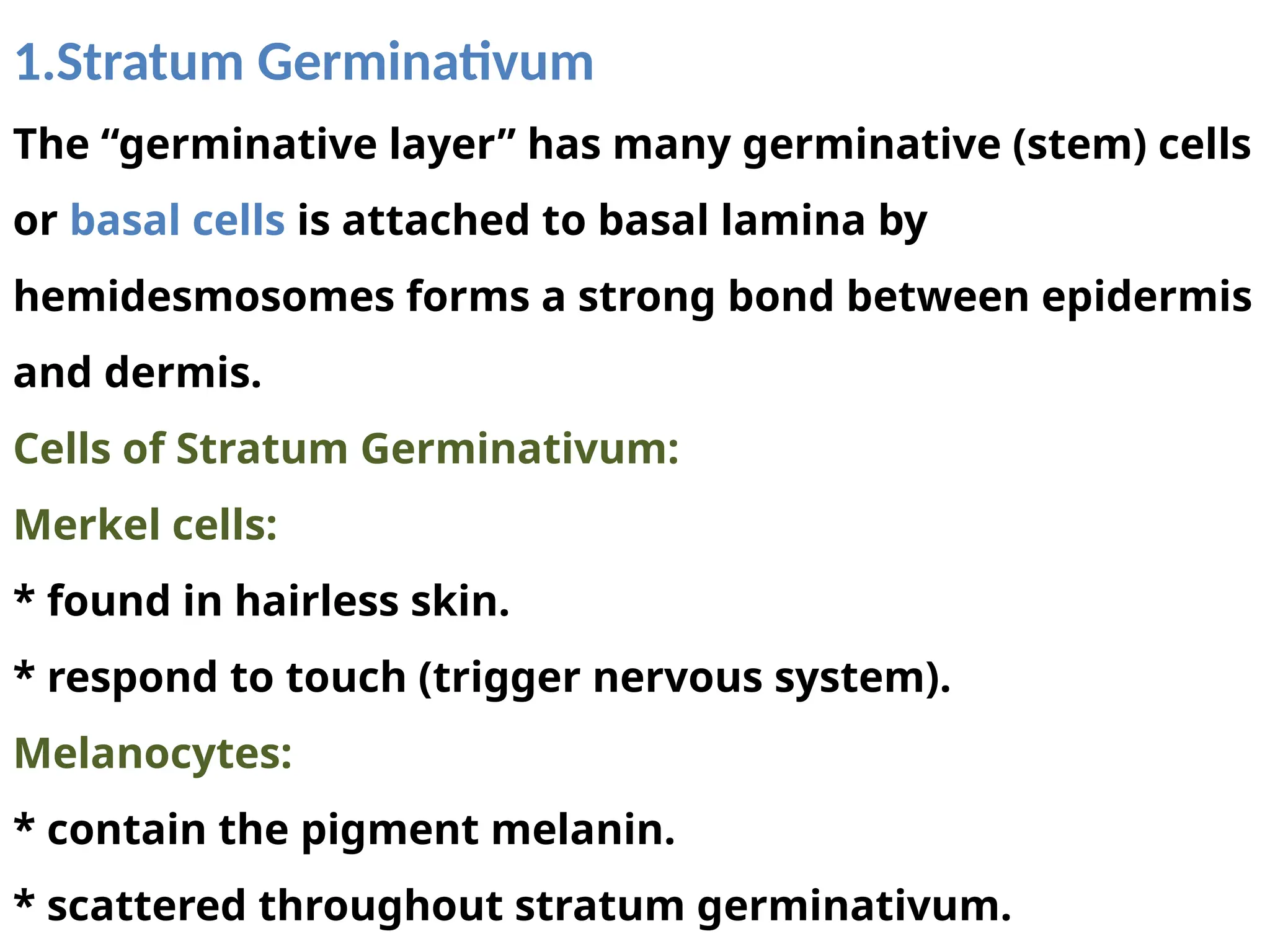 Integumentary System: Structure, Functions, and Importance | PPTX