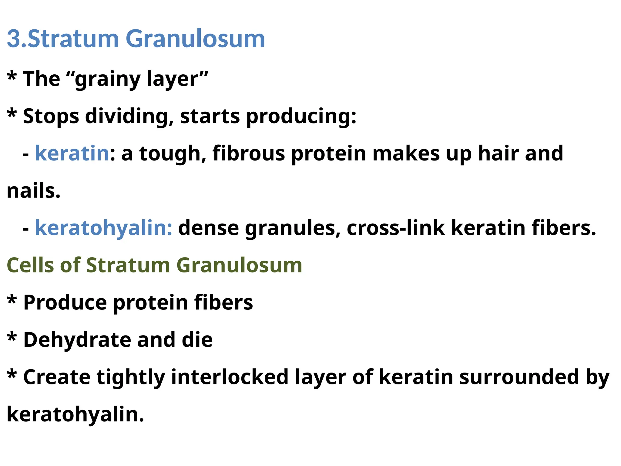 Integumentary System: Structure, Functions, and Importance | PPTX