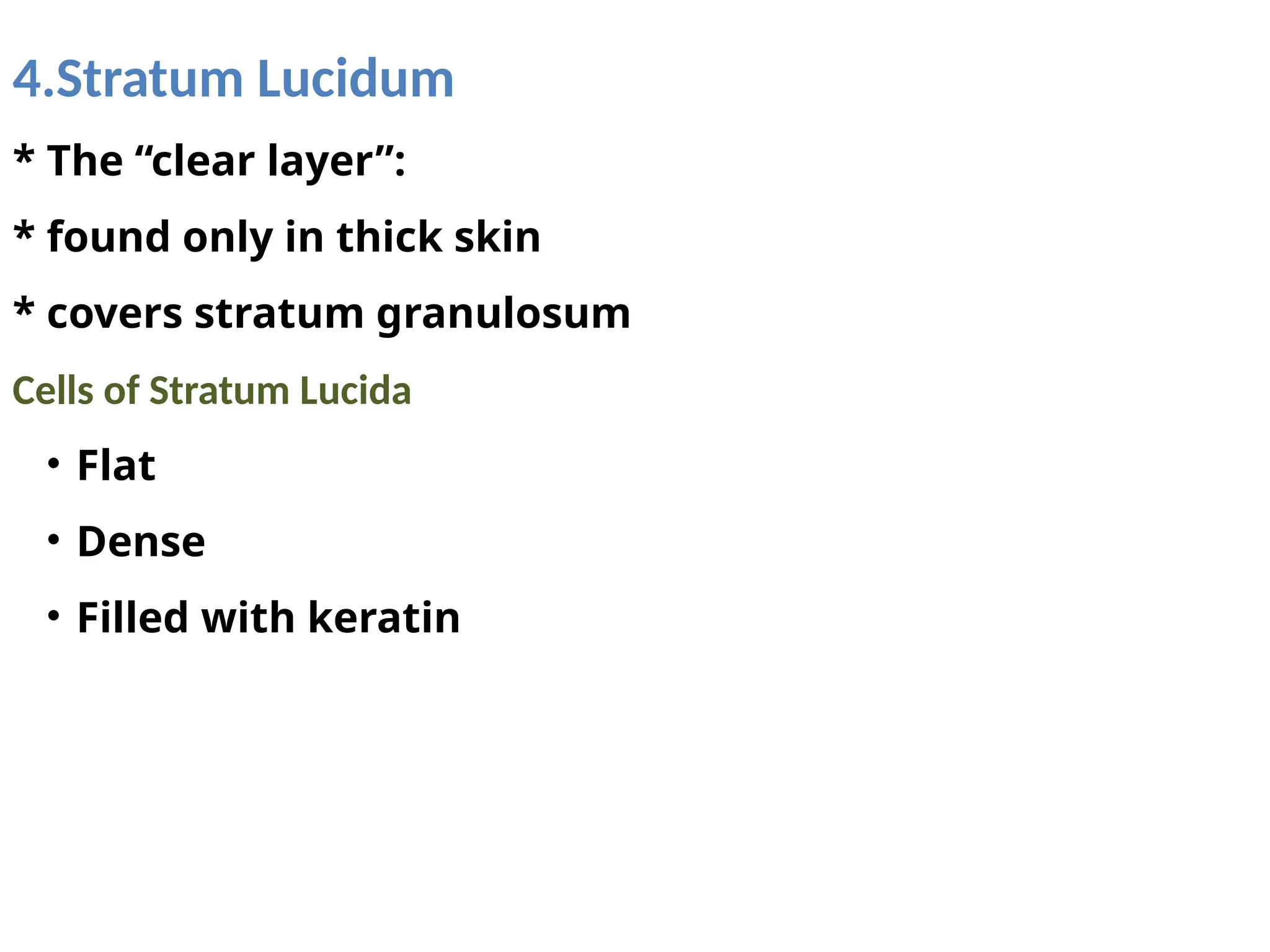 Integumentary System: Structure, Functions, and Importance | PPTX