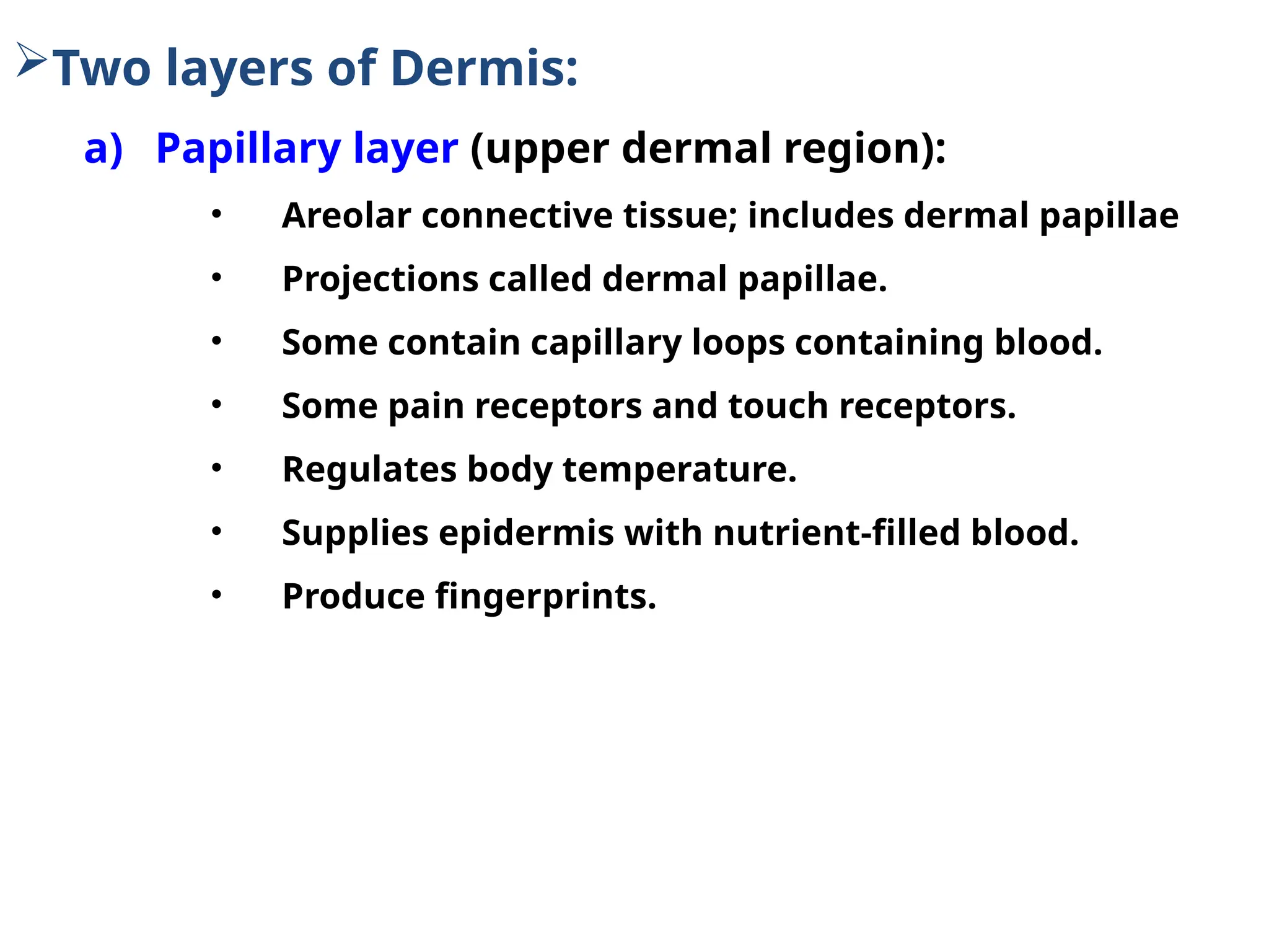 Integumentary System: Structure, Functions, and Importance | PPTX
