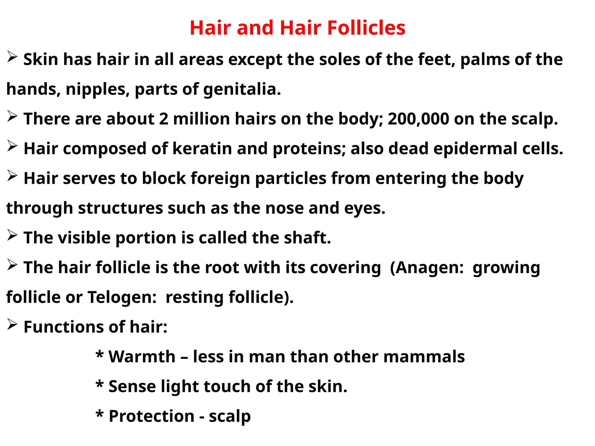 Integumentary System: Structure, Functions, and Importance | PPTX