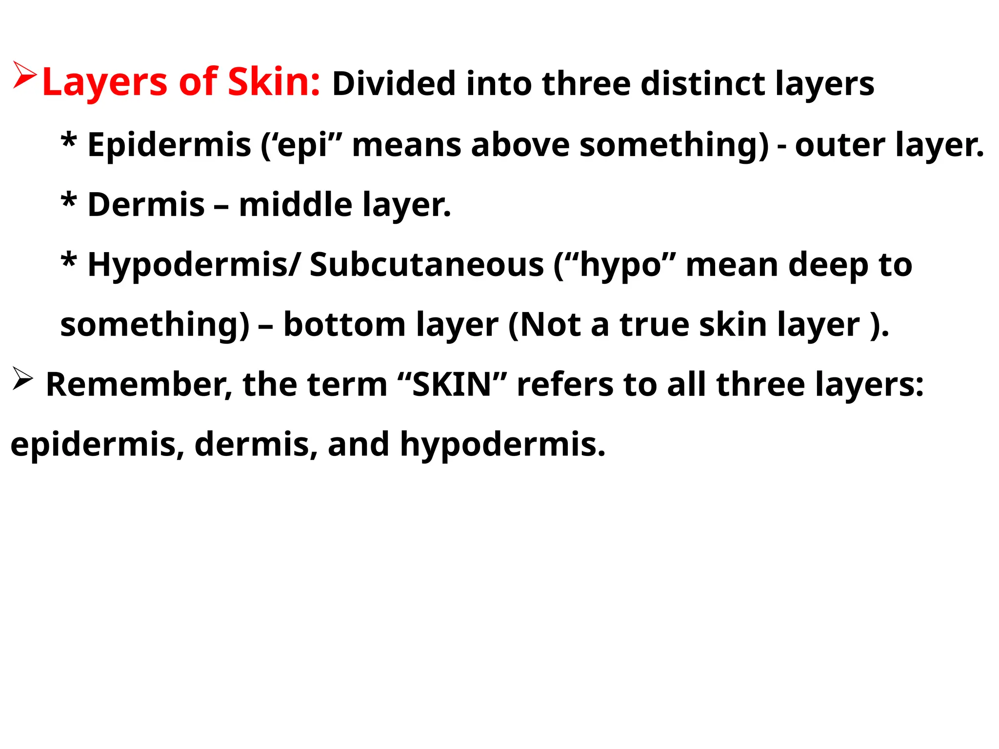 Integumentary System: Structure, Functions, and Importance | PPTX