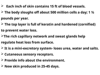 Integumentary System: Structure, Functions, and Importance | PPTX