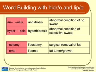 Integumentary System.ppt specifcally in medical terminology | PPT
