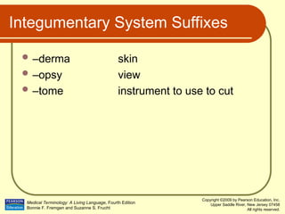 Integumentary System.ppt specifcally in medical terminology | PPT
