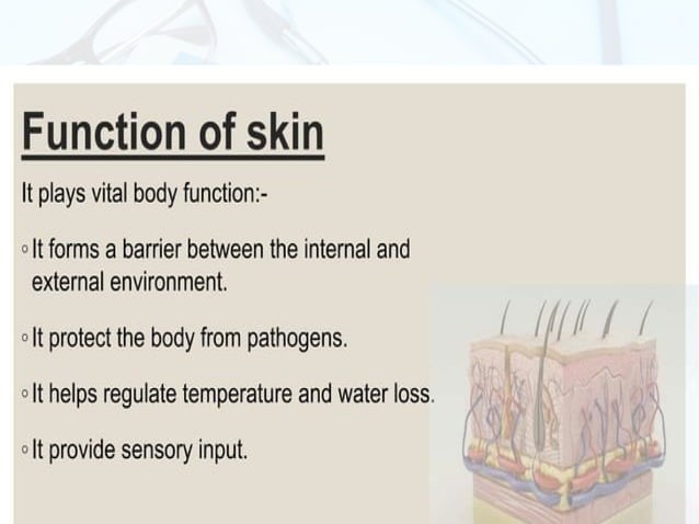 Integumentary system ppt slides ADULT HEALTH NURSING | PPTX