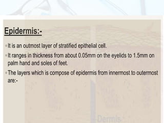 Integumentary system ppt slides ADULT HEALTH NURSING | PPTX