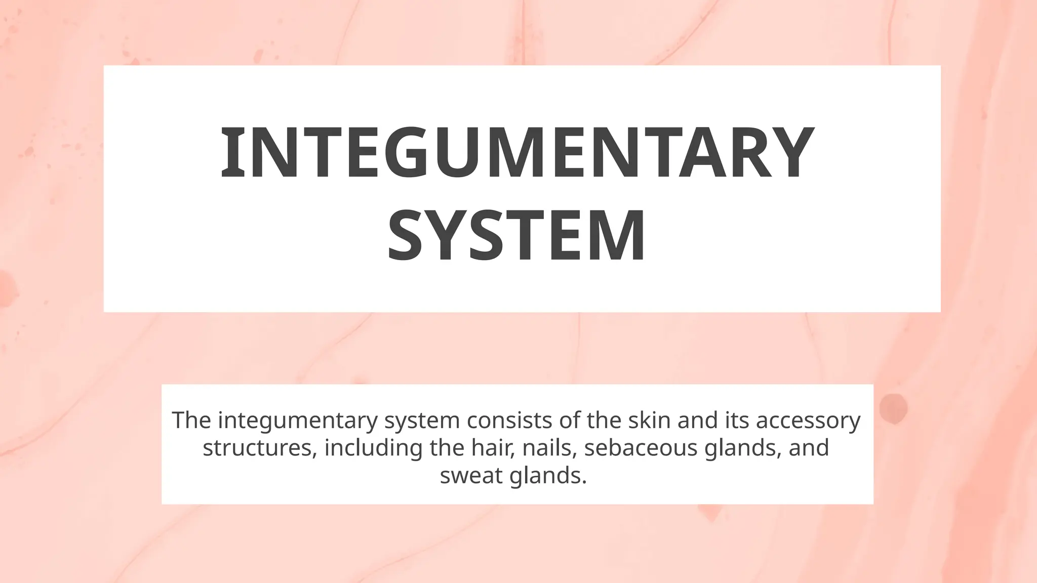 Grade 6 Science Integumentary System.pptx