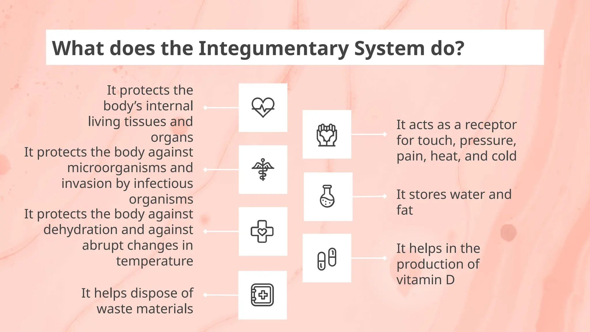 Grade 6 Science Integumentary System.pptx