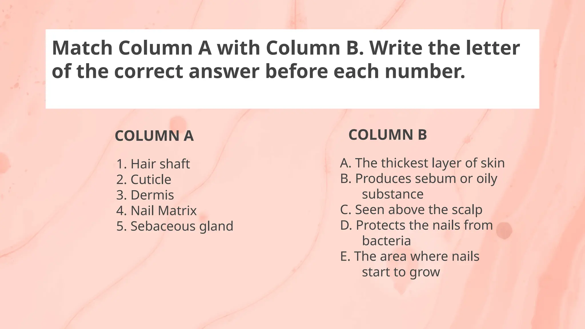Grade 6 Science Integumentary System.pptx