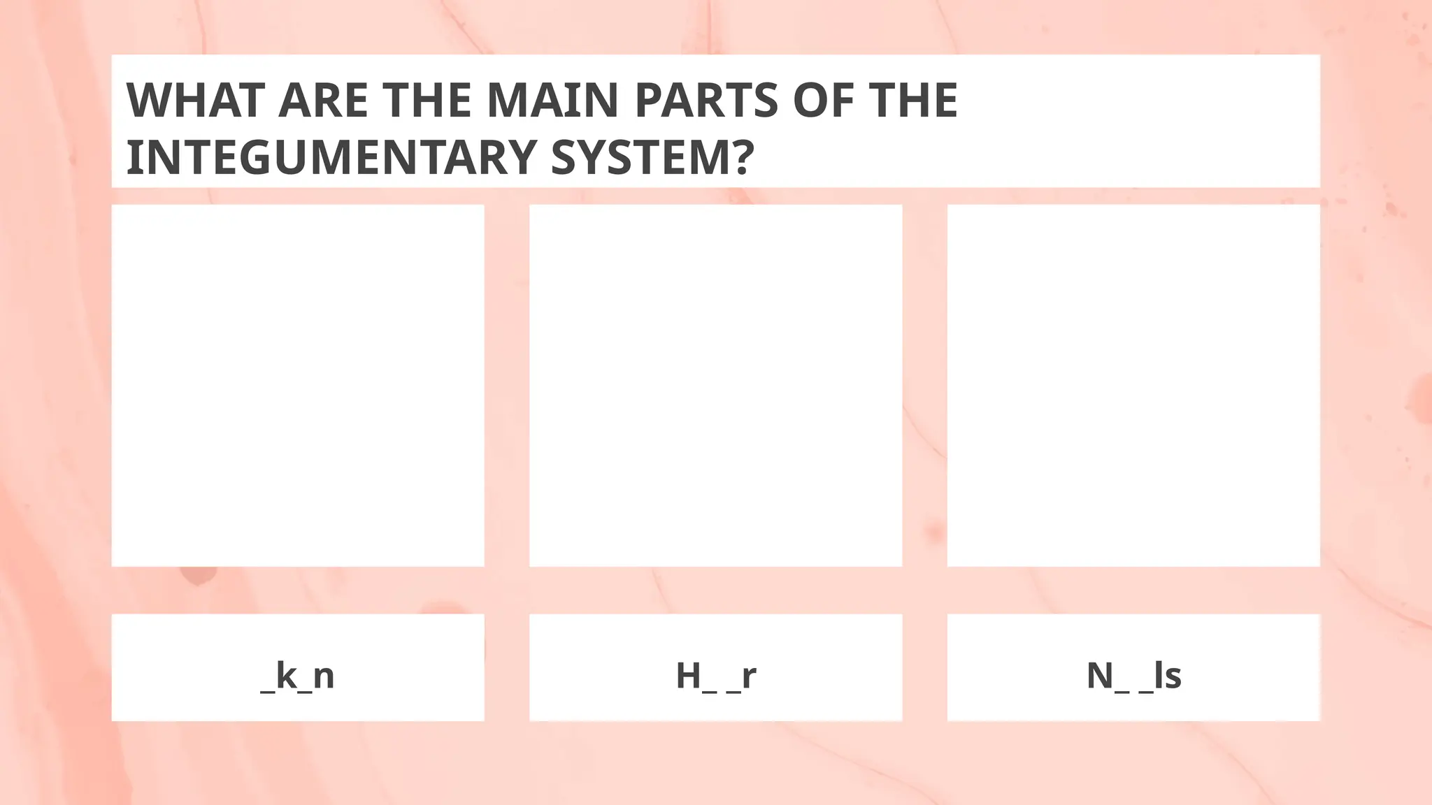 Grade 6 Science Integumentary System.pptx