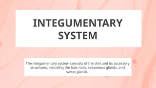 Grade 6 Science Integumentary System.pptx