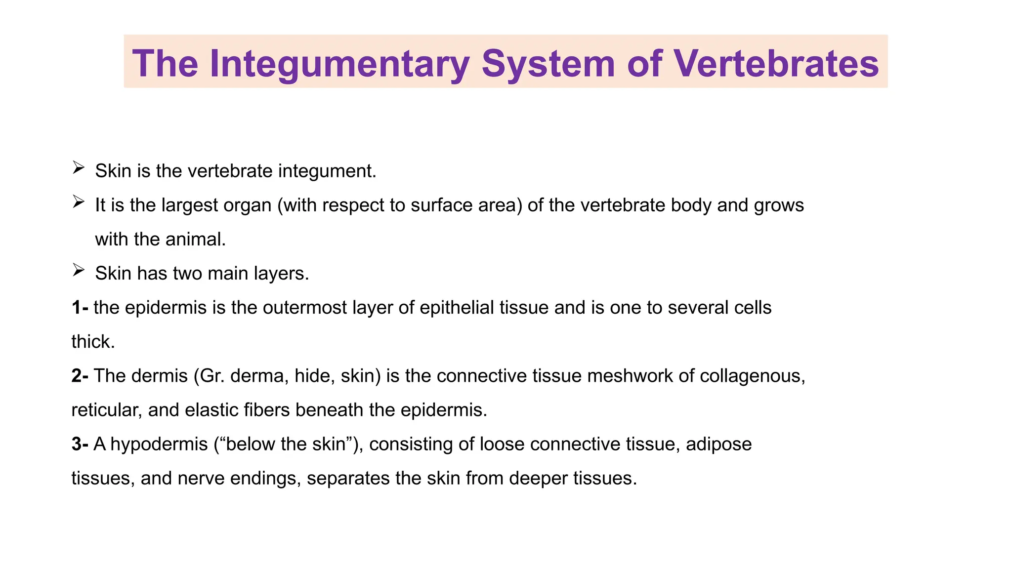 The Integumentary System of Vertebrates. | PPTX