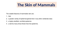 The Integumentary System of Vertebrates. | PPTX