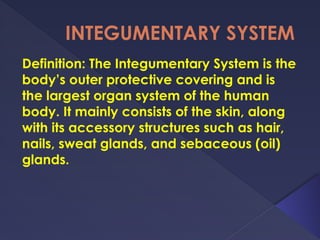 INTEGUMENTARY SYSTEM.pptx #organsystems | PPTX