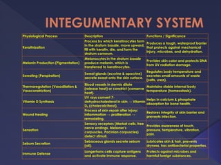 INTEGUMENTARY SYSTEM.pptx #organsystems | PPTX