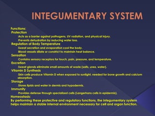 INTEGUMENTARY SYSTEM.pptx #organsystems | PPTX