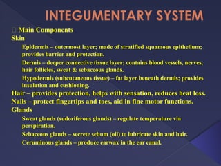 INTEGUMENTARY SYSTEM.pptx #organsystems | PPTX