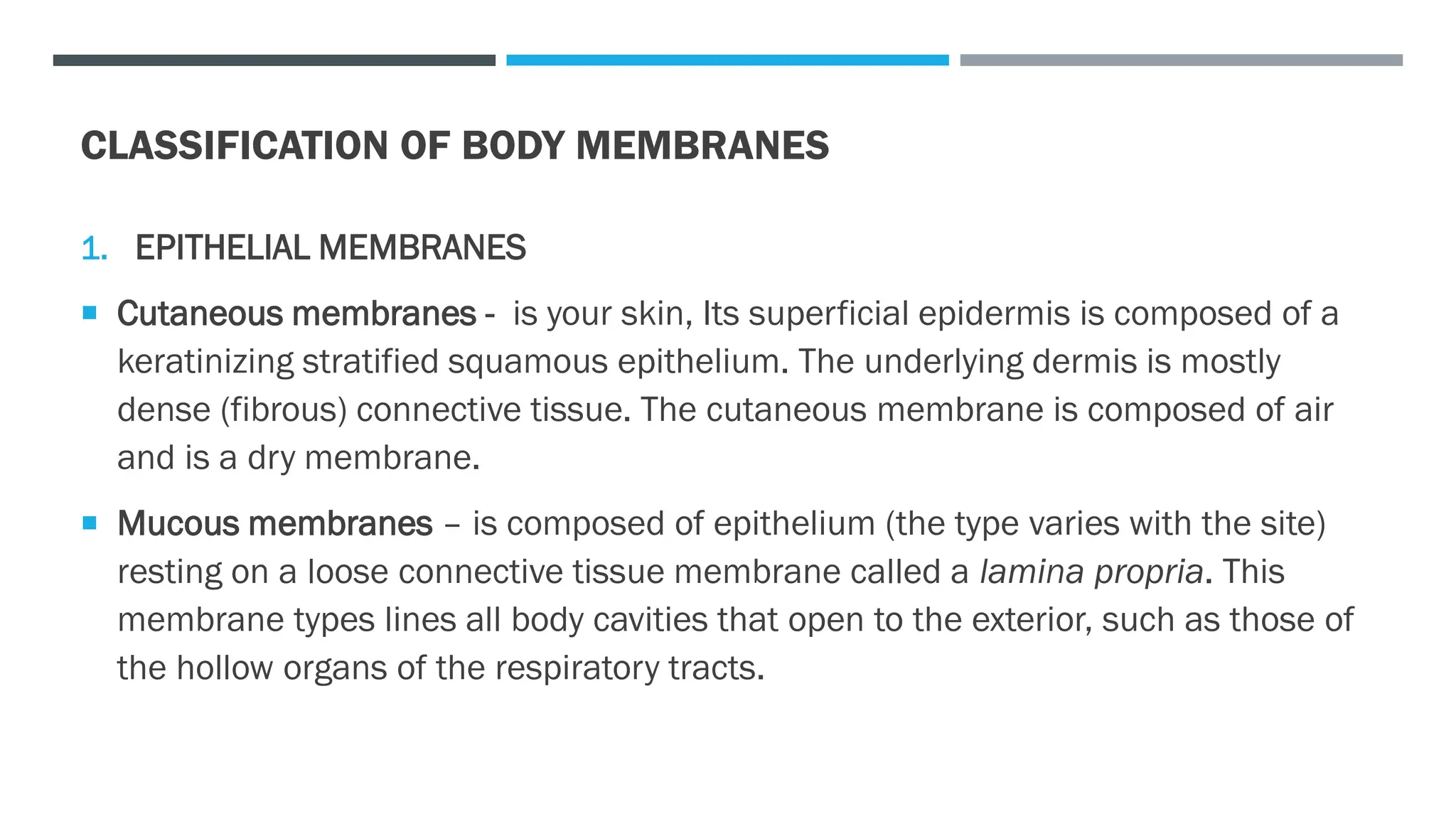 INTEGUMENTARY SYSTEM, ANATOMY AND PHYSIOLOGY | PDF