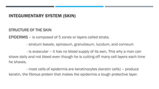 INTEGUMENTARY SYSTEM, ANATOMY AND PHYSIOLOGY | PDF