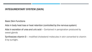 INTEGUMENTARY SYSTEM, ANATOMY AND PHYSIOLOGY | PDF