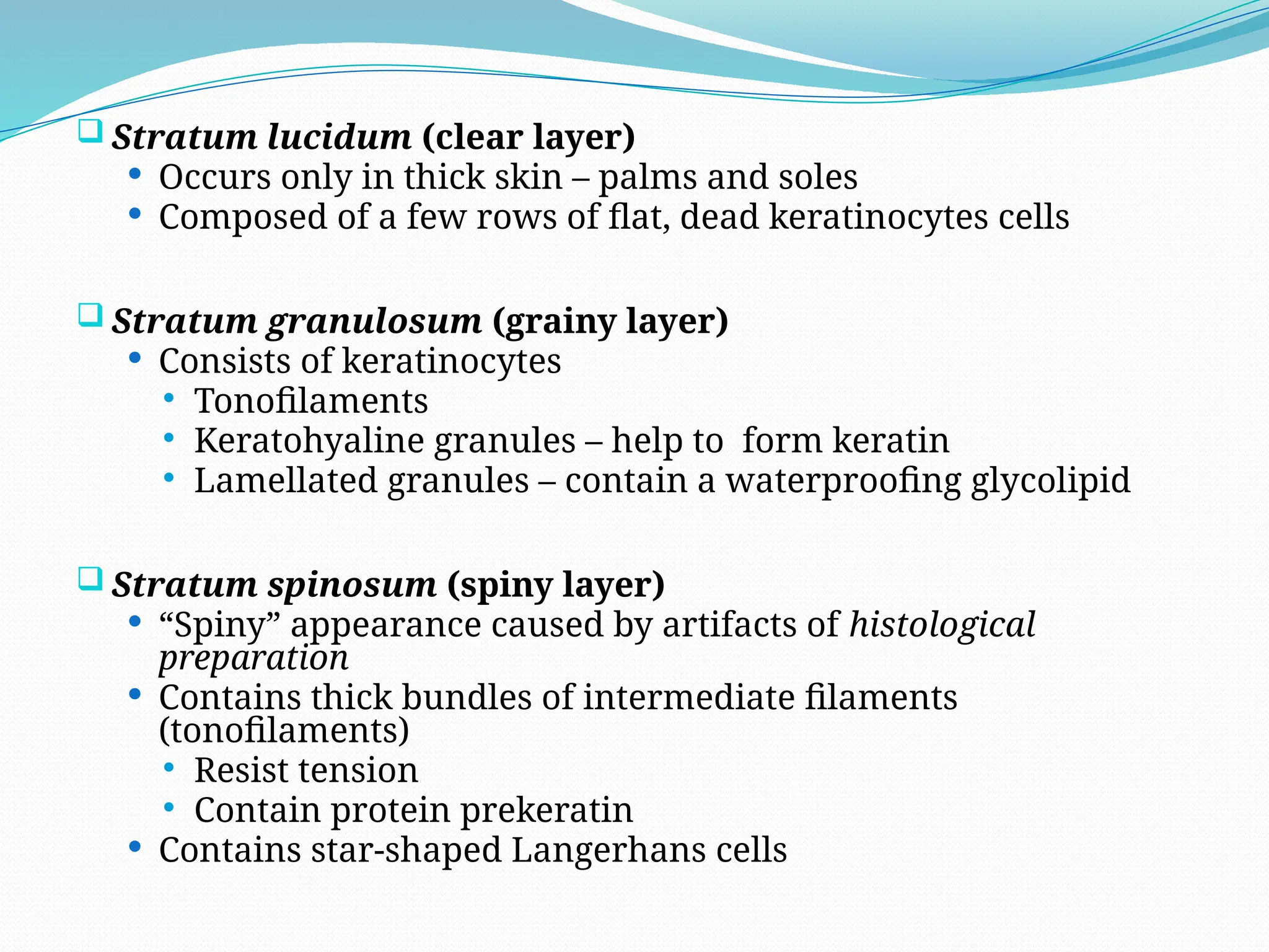 Integumentary System.pptx, Function and structure of skin | PPTX