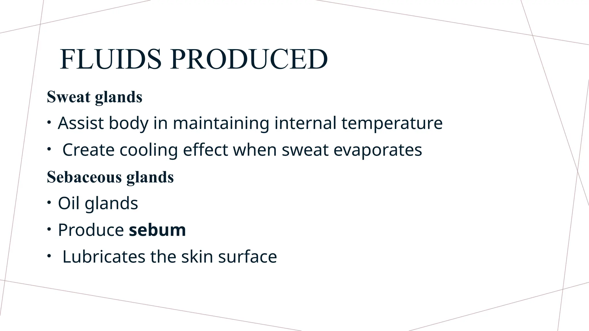 Integumentary System medical terminology | PPTX