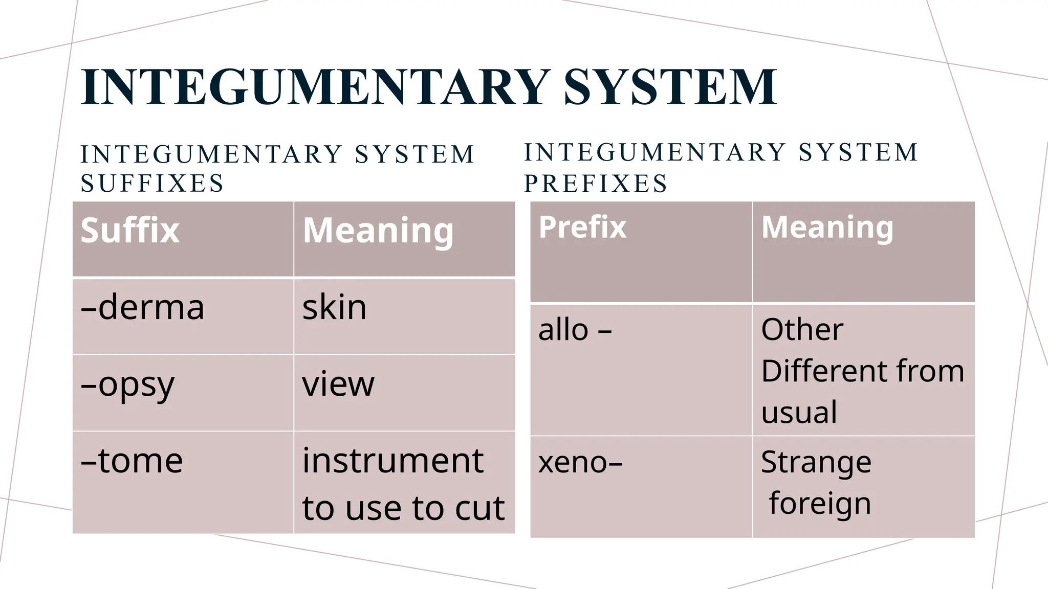 Integumentary System medical terminology | PPTX