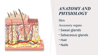 Integumentary System medical terminology | PPTX