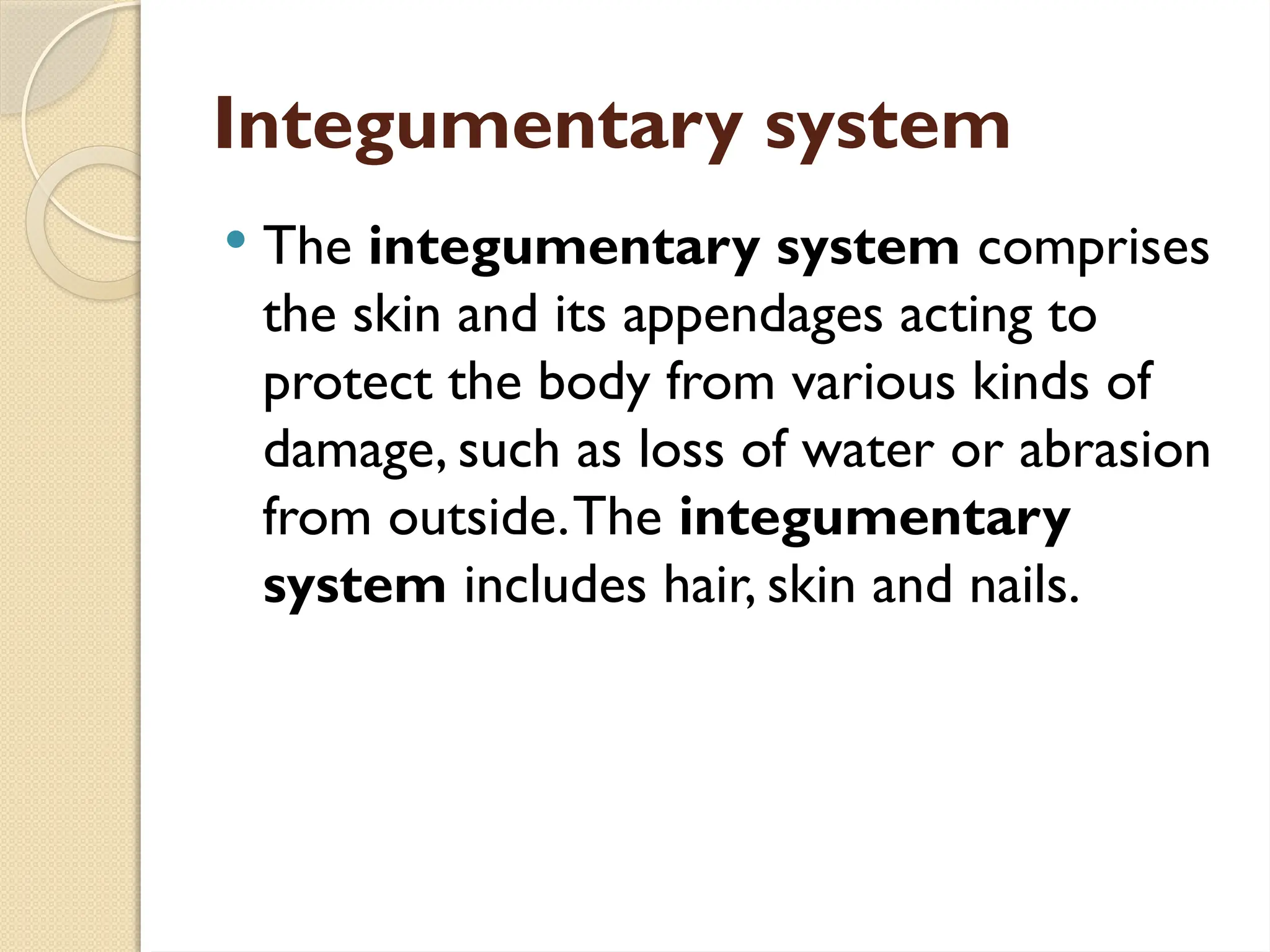 INTEGUMENTARY SYSTEM -skin epithelial layers by komal najam | PPTX