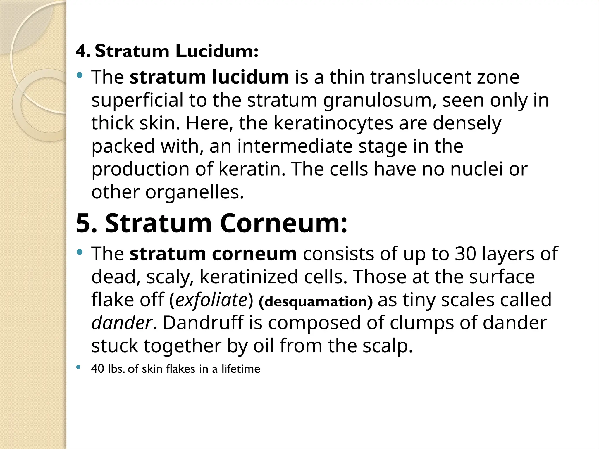 INTEGUMENTARY SYSTEM -skin epithelial layers by komal najam | PPTX