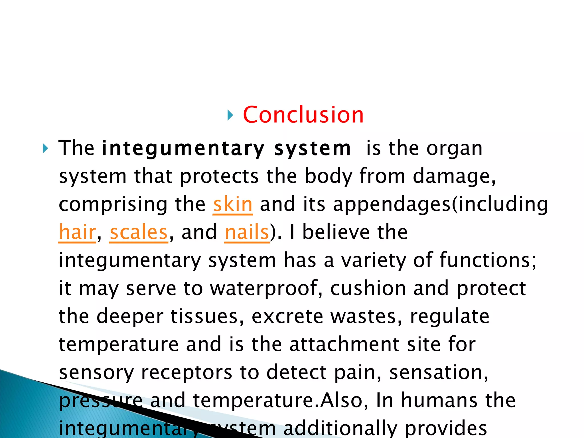 Integumentary System Chapter#3 | PPT